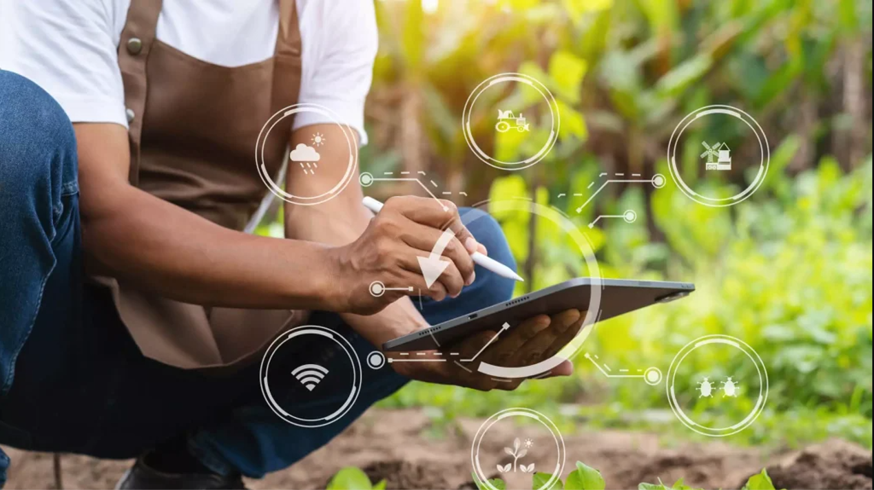 Agro-Visions- A new VC fund offers international investors access to ...